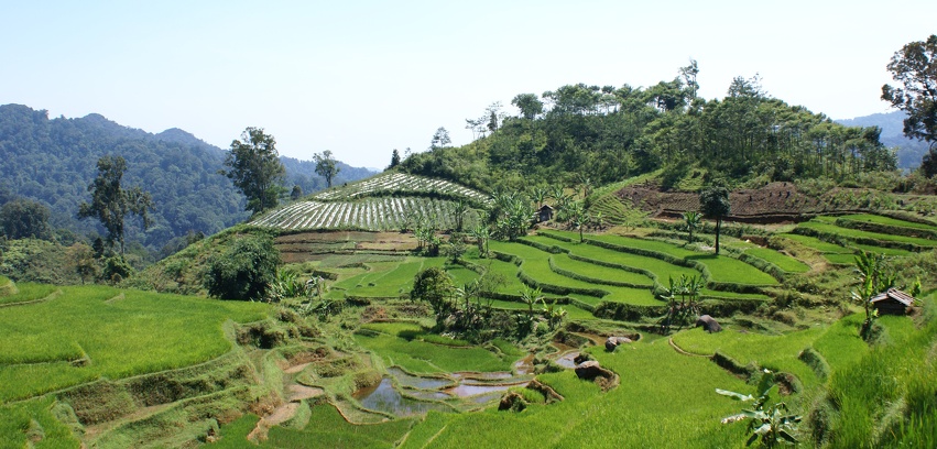 Gunung Halimun National Park: mooie natuur op Java