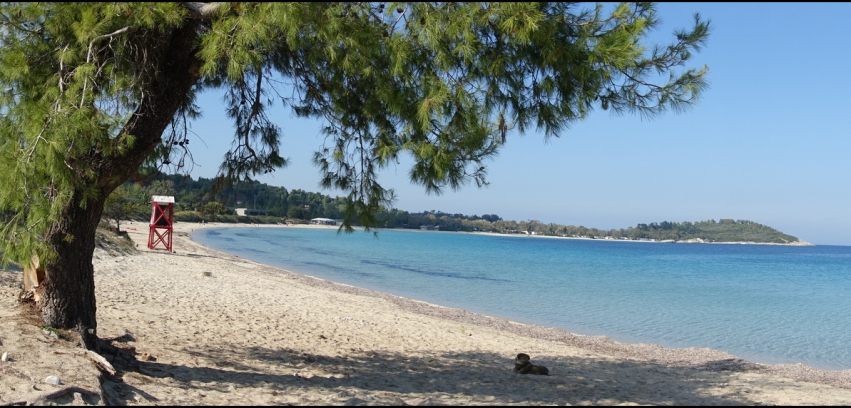 Leerplichtwet en op wereldreis met gezin: Zo zit het